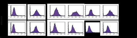 16 FACS Expression Histogram Of 5 Doubly Exchanged Clones And Untreated Download Scientific