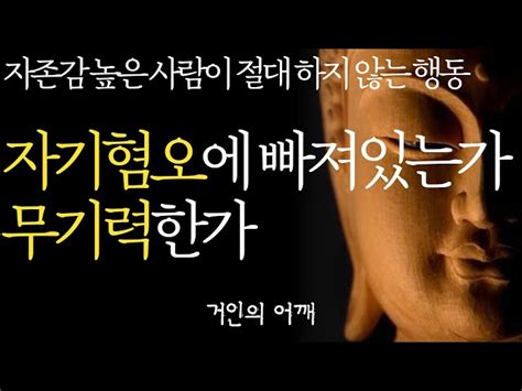 석가모니 명언 인생조언 자신감 되찾는 법 자존감 높은 사람은 절대 하지 않는 한 가지 행동 귀티나는 행동 부처 인생철학 오디오북 불교 철학 명상