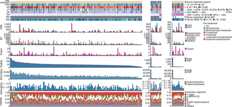 molecular landscape of the cpgea cohort each column represents an