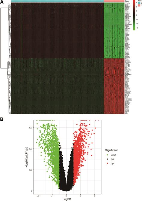 Heat Map And Volcano Plot Of Differentially Expressed Genes A A Heat