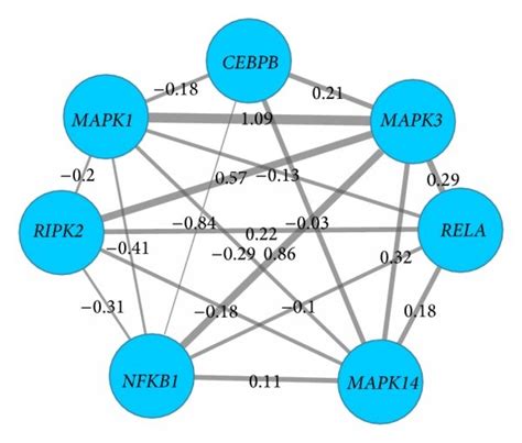 swapping behavior in altered module mapk1 cebpb mapk3 rela mapk14