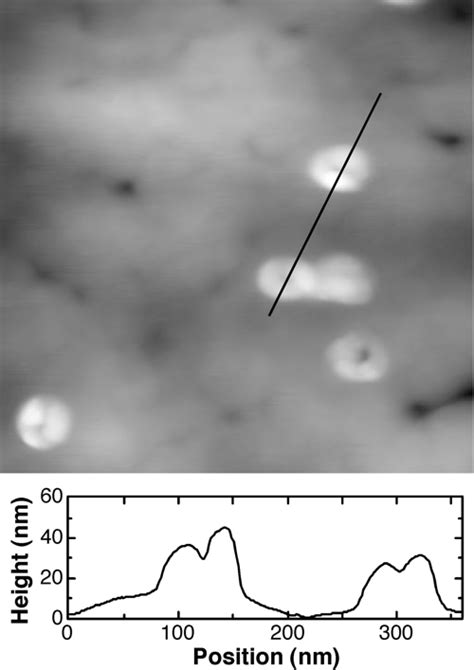 Analytical Chemistry Vol 78 No 19