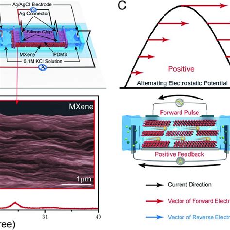 Pdf Bioinspired Nervous Signal Transmission System Based On Two Dimensional Laminar