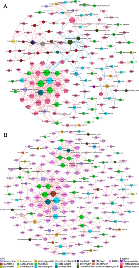 Correlation Between Args And Bacteria And Args And Mges Based On