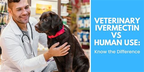 Veterinary Ivermectin Vs Human Use Know The Difference