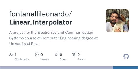 Github Fontanellileonardolinearinterpolator A Project For The