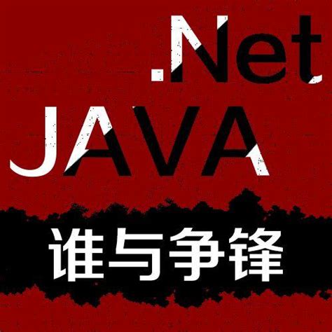 Java 程式設計師 和 Net 程式設計師 每日頭條