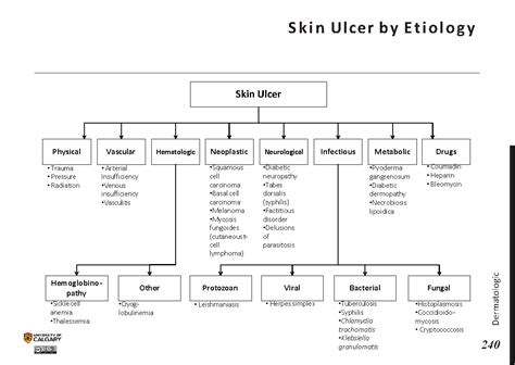 Skin Ulcer By Etiology Blackbook Blackbook