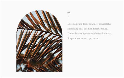 4 Ways To Crop Images In Squarespace Using Css — Be Creative