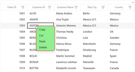 Context Flyout In Winui Datagrid Control Syncfusion®