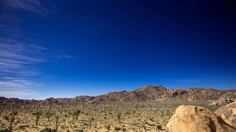 约书亚树国家公园高清动态heic壁纸 Mac动态壁纸