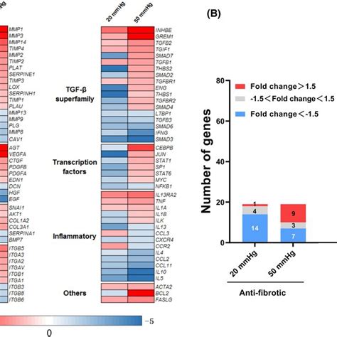 Rt2 Profiler™ Pcr Array Analysis On The Expression Of Genes Involved In Download Scientific