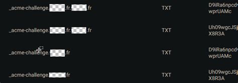 Bad Acme Challenge Txt Record Creation By Certbot · Issue 19 · Infomaniakcertbot Dns