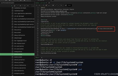 Docker远程调试 Csdn博客