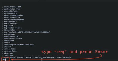 Node Js Not Able To Edit Npm Config File Manually Stack Overflow