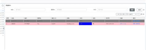 表格视图 IIDP