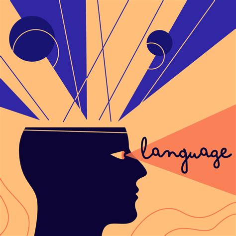 About — Classi Lab