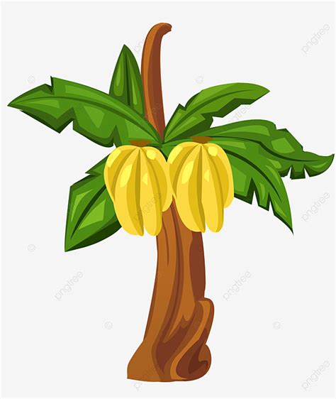 รูปรูปการ์ตูนกล้วย Png ต้นกล้วย ใบตอง กล้วยภาพ Png และ Psd สำหรับดาวน์โหลดฟรี