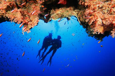 The 10 Best Dive Sites In The Red Sea