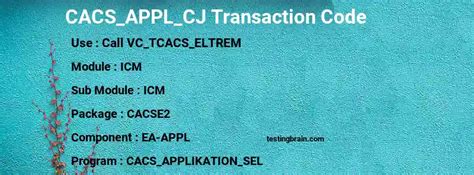 Cacsapplcj Sap Tcode For Call Vctcacseltrem