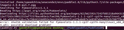 BUG Issue PaddlePaddle PaddleGAN GitHub