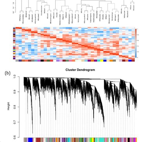 The Cluster Dendrogram Of Co Expression Network Modules The Red Line Download Scientific