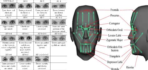 Figure 3 From Facial Expression Recognition Of 3d Image Using Facial