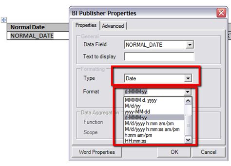Bi Publisher Formatting Date Flex Fields