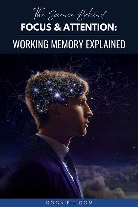 The Science Behind Focus And Attention Working Memory Explained Working Memory What Is Work