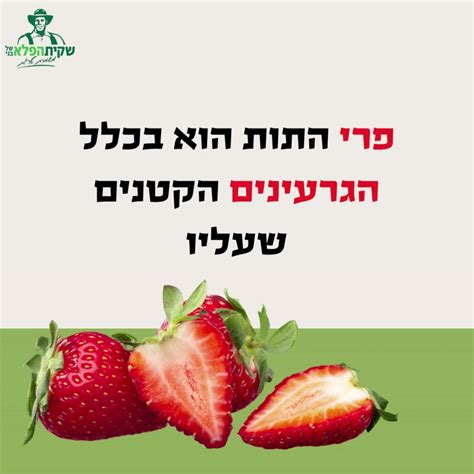 10 עובדות מדהימות שלא ידעתם על תותים 🍓 🍓מקור המילה תות הוא בכלל בפרסית 🍓התות מאט את תהליך