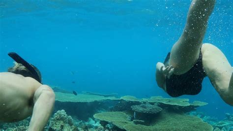 Nude Video Celebs Jocelyn Hudon Sexy Love In The Maldives