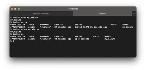 How To Stop And Start A Docker Container Code2care