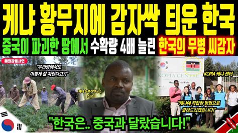케냐 감자 수확량 4배 증가시킨 한국의 농업기술과 무병 씨감자 중국 때문에 황폐해진 땅에서 만든 기적 세계 1위 농업기술과
