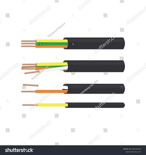 Different Types Wires Section Stock Vector Royalty Free 2216793743 Shutterstock