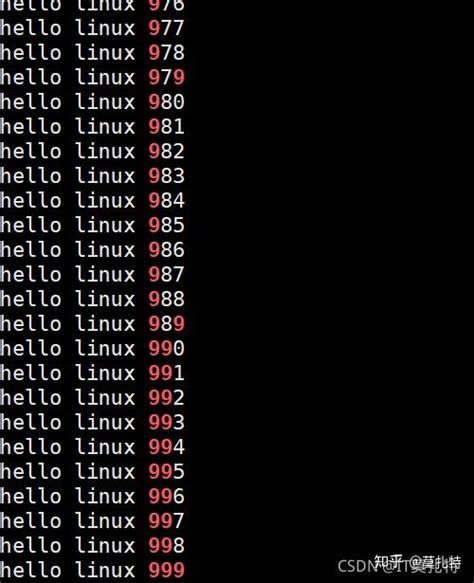 linux常用基础指令 知乎