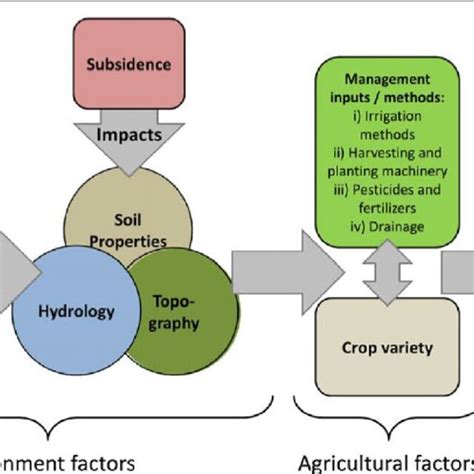 Schematic Diagram Showing The Impacts Of Coal Mining Subsidence On Download Scientific Diagram