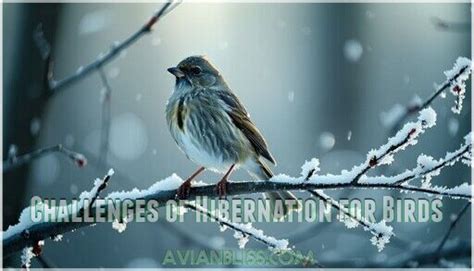 Do Birds Hibernate Or Migrate The Surprising Truth About Winter Birds