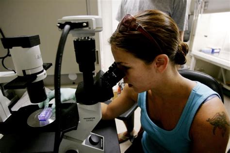 British Scientists To Genetically Modify Human Embryo Youth Health Magzine