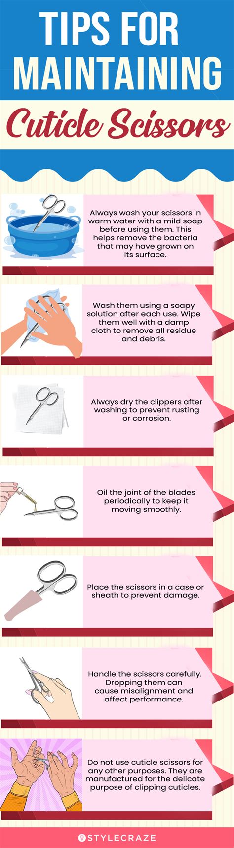 Best Cuticle Scissors Of According To A Makeup Artist