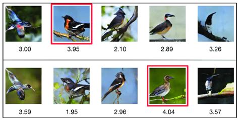 One To Multi High Resolution Image Filtering Example Each Line