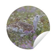Gartenposter Rund Vogel Blumen Federn Ø 90 Cm Gartendeko