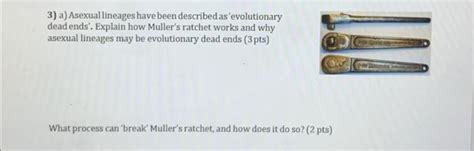 Solved 3 A Asexual Lineages Have Been Described