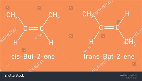 Difference Between Cis Trans Isomers Cis Trans Stock Vector Royalty