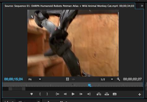 How To Reverse Clips Composing Digital Media