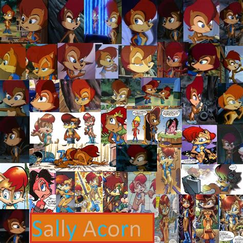 Sally Acorn Princess Sally Acorn Photo Fanpop
