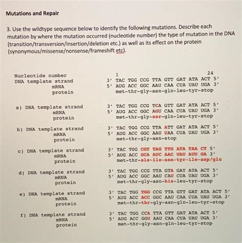 Solved Mutations And Repair Use The Wildtype Sequence Chegg