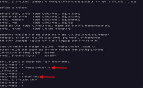How To Upgrade To FreeBSD 13 From FreeBSD 12 OSTechNix