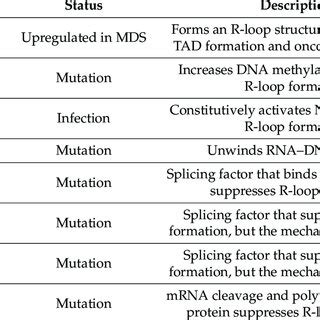 R Loop Regulators And Related Mechanisms In Leukemia Download Scientific Diagram