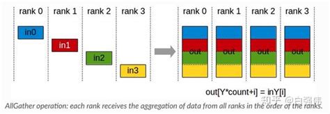 【深度学习】【分布式训练】collective通信操作及pytorch示例 知乎