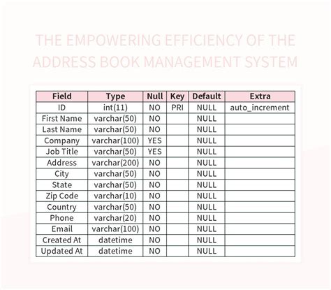 the empowering efficiency of the address book management system excel